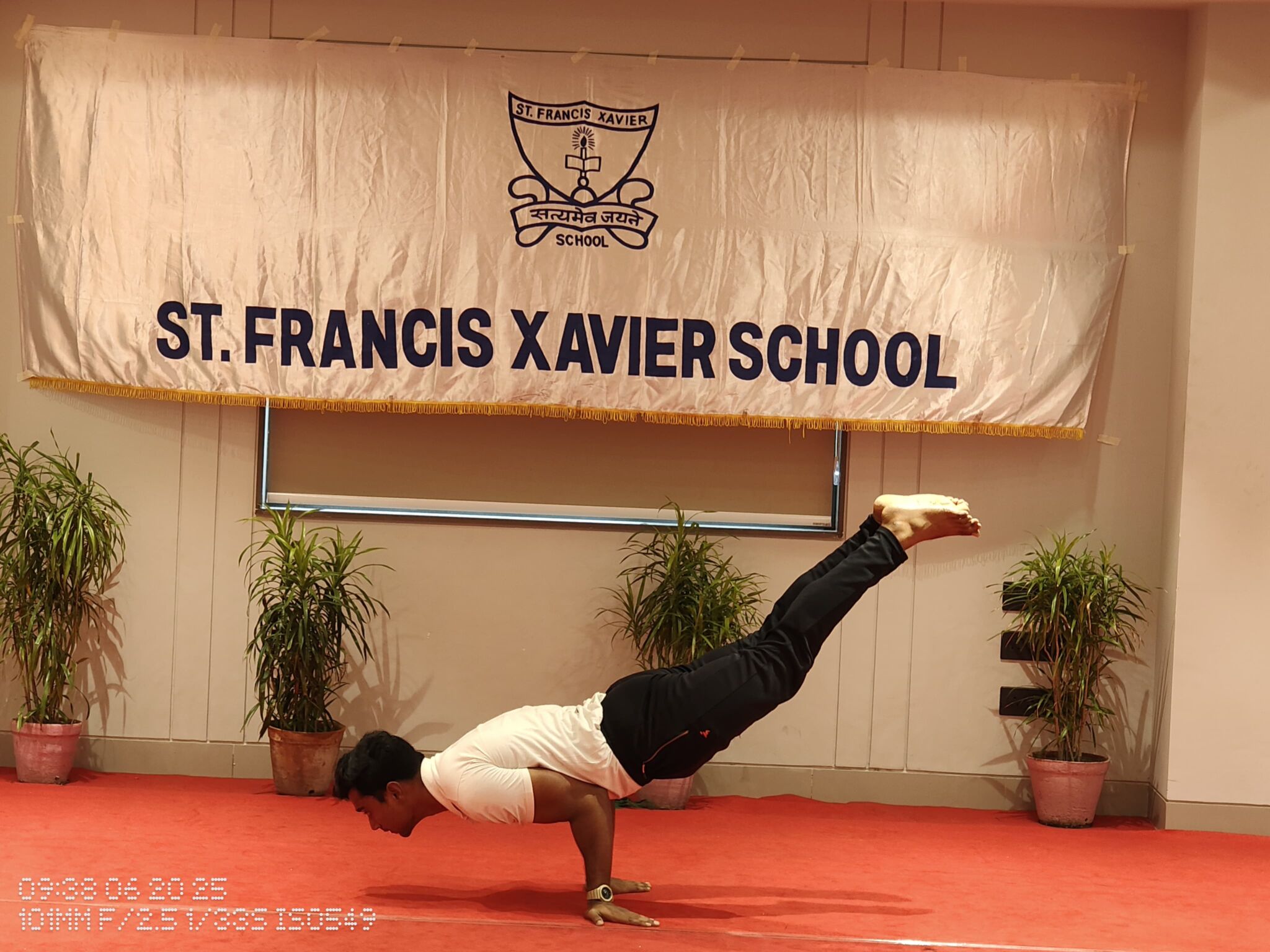 Harmony in Motion: St. Francis Xavier School Celebrates International ...